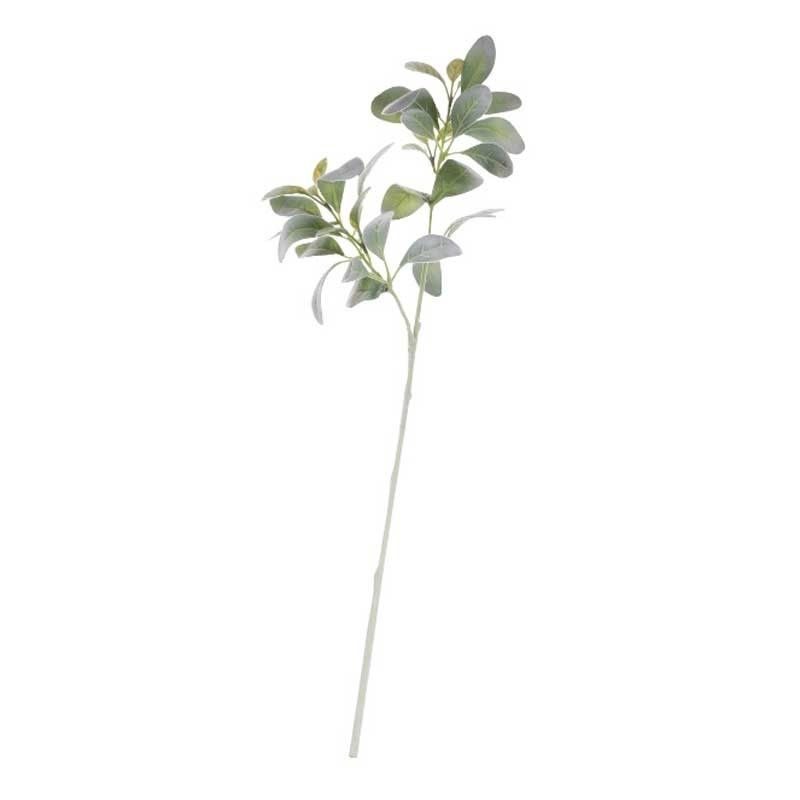 Lambs Ear Green (28 inch) | APAC