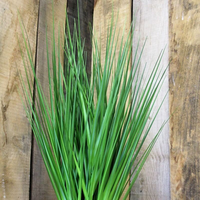 Flat Leaf Grass Plant (76cm) | APAC