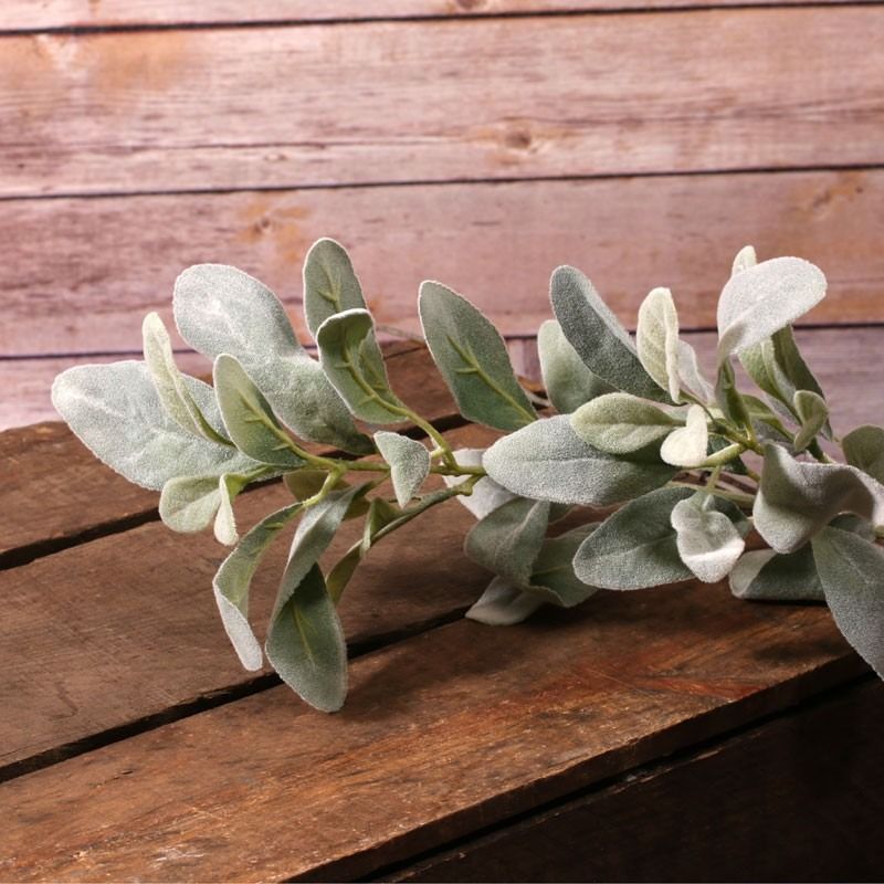 Lambs Ear Green (28 inch) | APAC