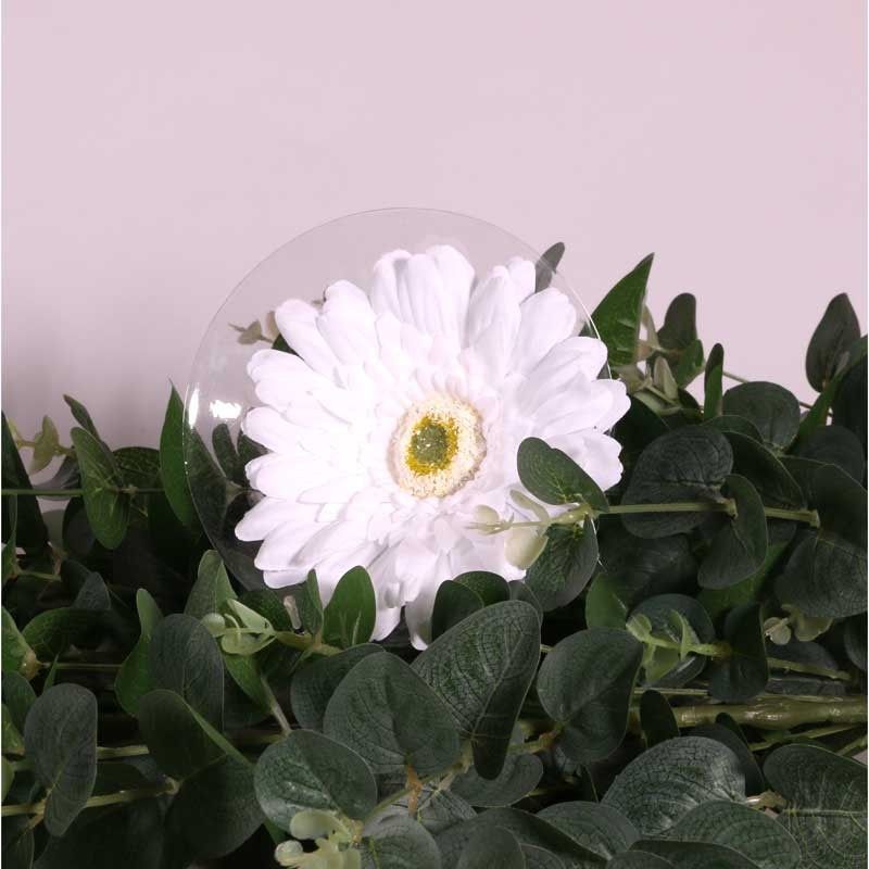 Single Gerbera White (62cm) | APAC