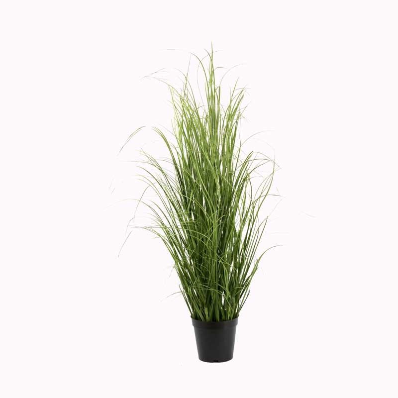 Wild Grass Plant (94cm) | APAC