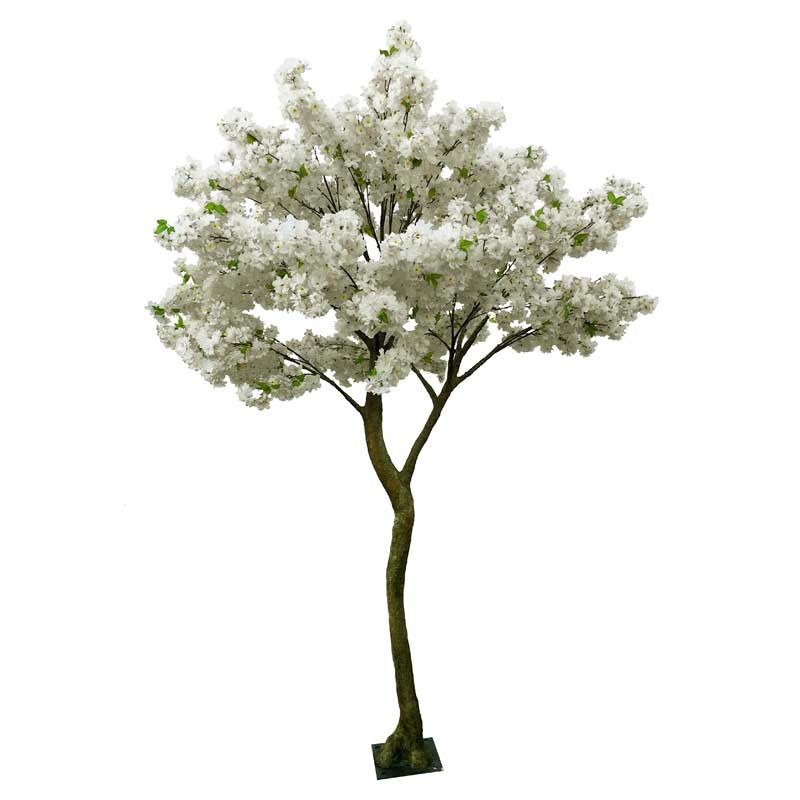 Cream Blossom Tree (2.7m) | APAC