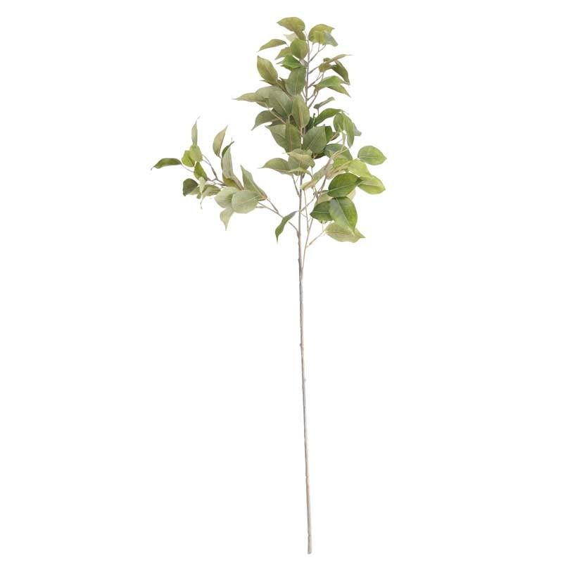 Ficus Spray with 90 Leaves (34 inch) | APAC