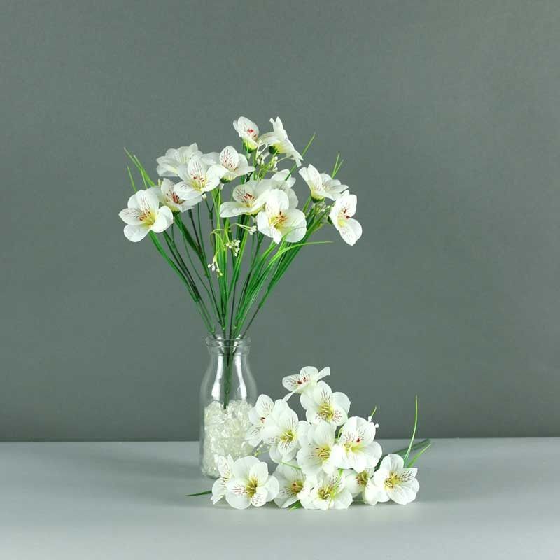 Alstro bush white | APAC