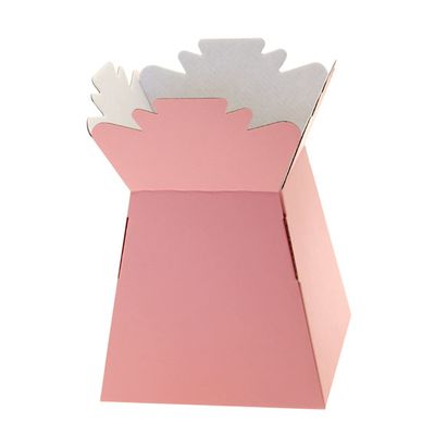 Living Vases | APAC