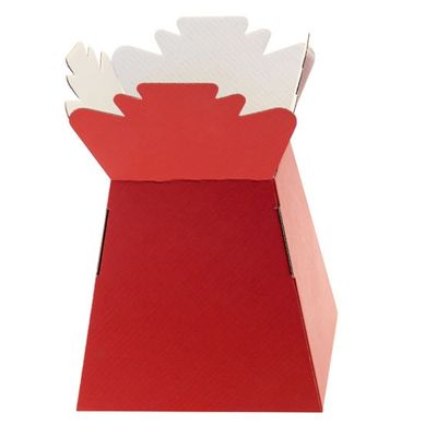 Living Vases | APAC