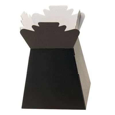 Living Vases | APAC