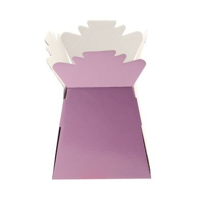 Living Vases | APAC