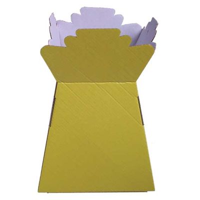 Living Vases | APAC