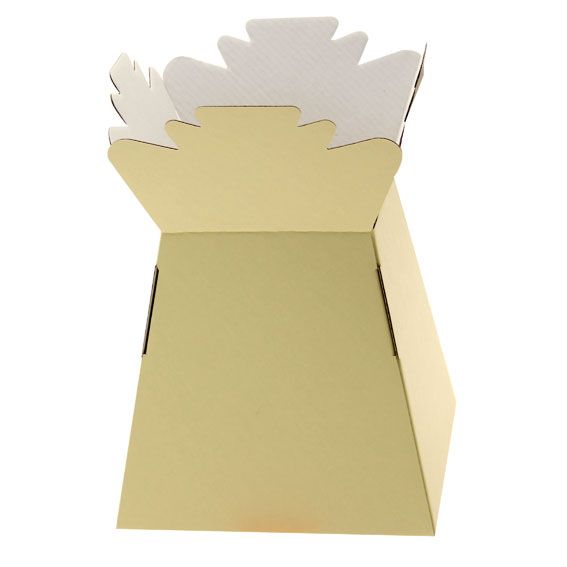 Cream Living Vases | APAC