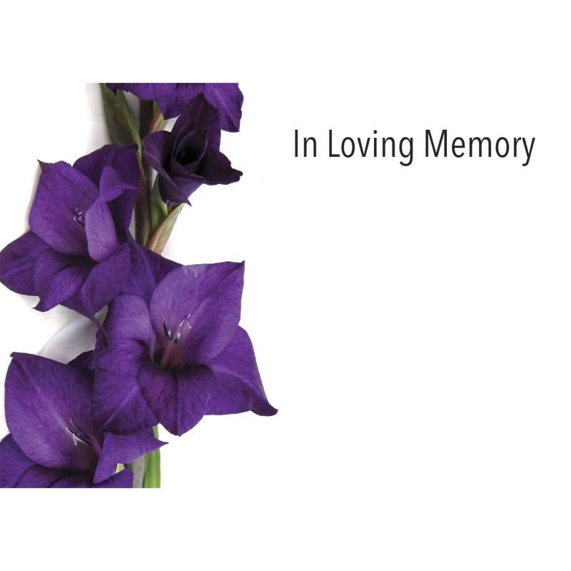 In Loving Memory - Purple Gladioli x50 (12) | APAC