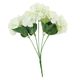 Arundel Hydrangea Bush Cream (12/144) | APAC