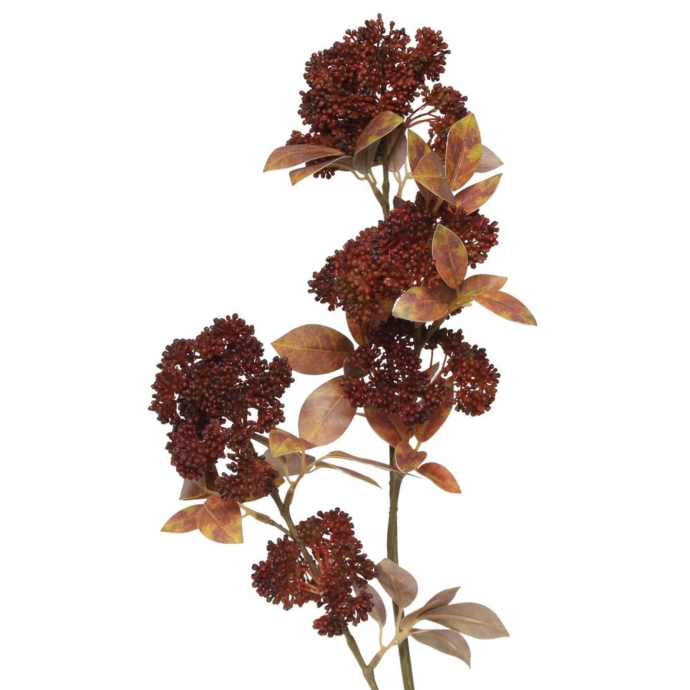 Balmoral Pip Spray Orange | APAC