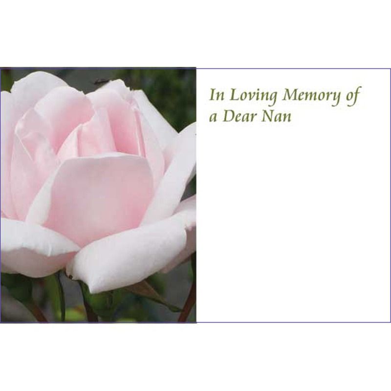 In Loving Memory Nan, Pink Rose | APAC